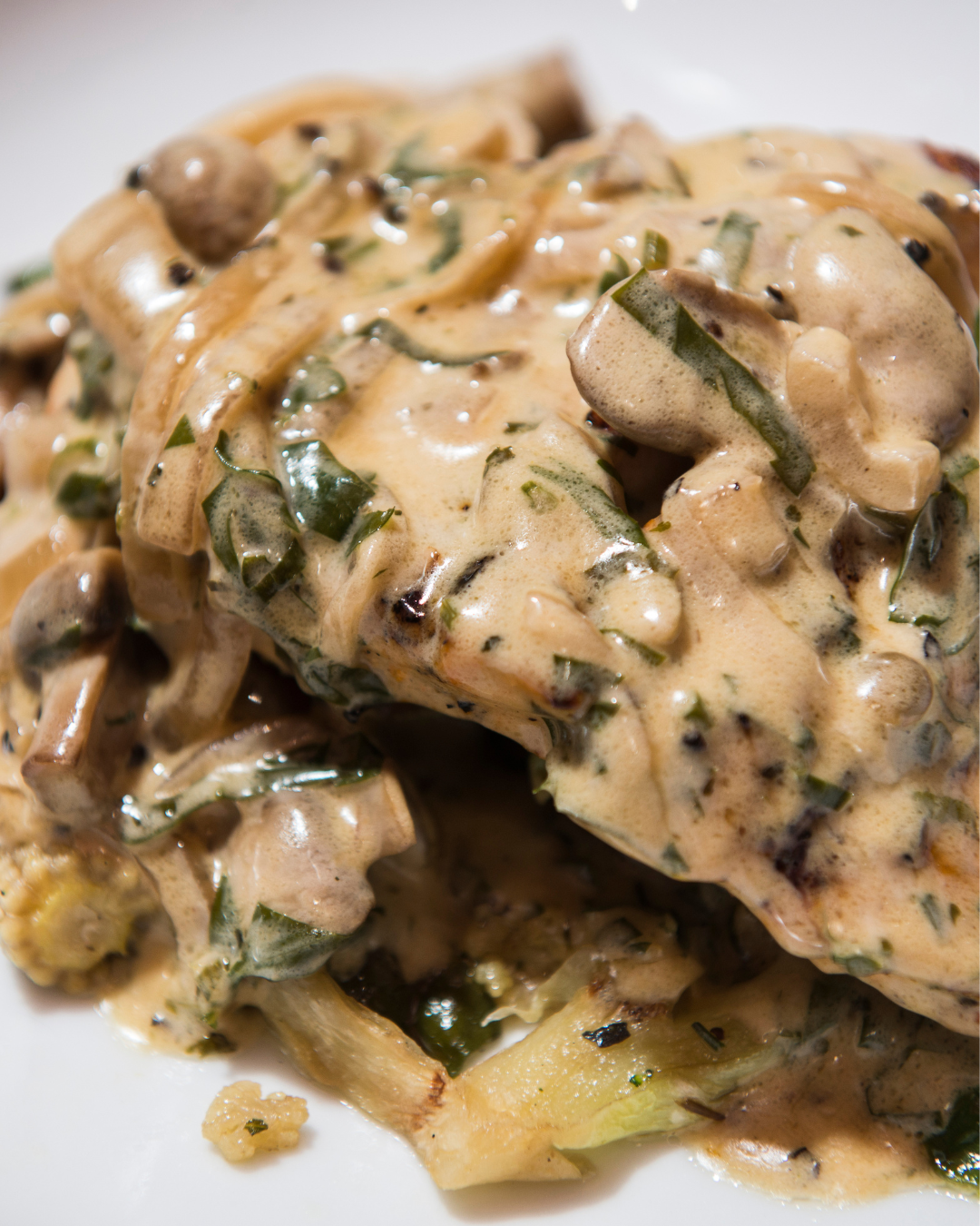 Chicken Porcini – Old World Olive Co